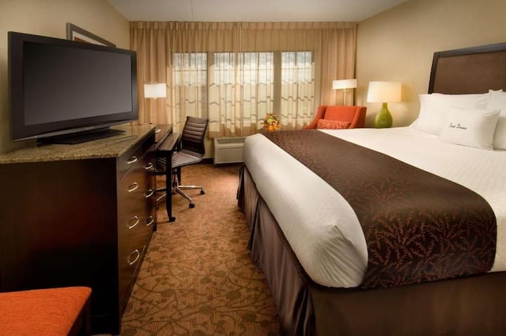 King Room Near Dulles Gymnastics Wdc - Ashburn, VA