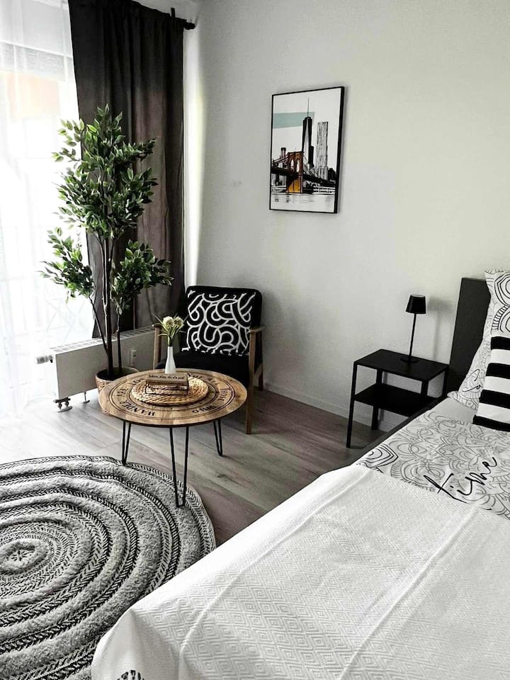 Elegant And Cozy Apartment - 만하임