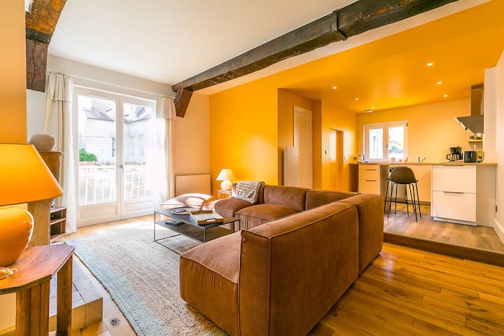 Orangerie Jeannin - Appartement Au Cœur De La Vill - Dijon