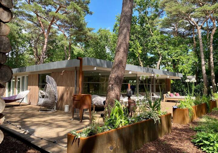 Magical Woods - Bergen, Netherlands