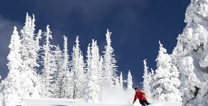 Big Mountain Bison Suite 201 At Cantera-hot Tub - Whitefish, MT