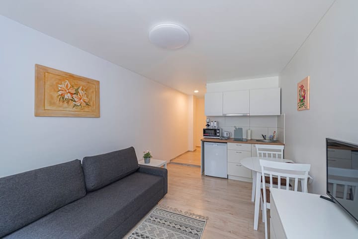 Partizanų Studio Ap 3 By Polo Apartments - Kaunas