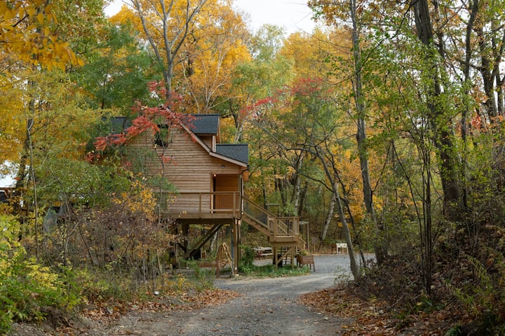 Osprey Landing Lakefront Treehouse - Seneca Lake, NY
