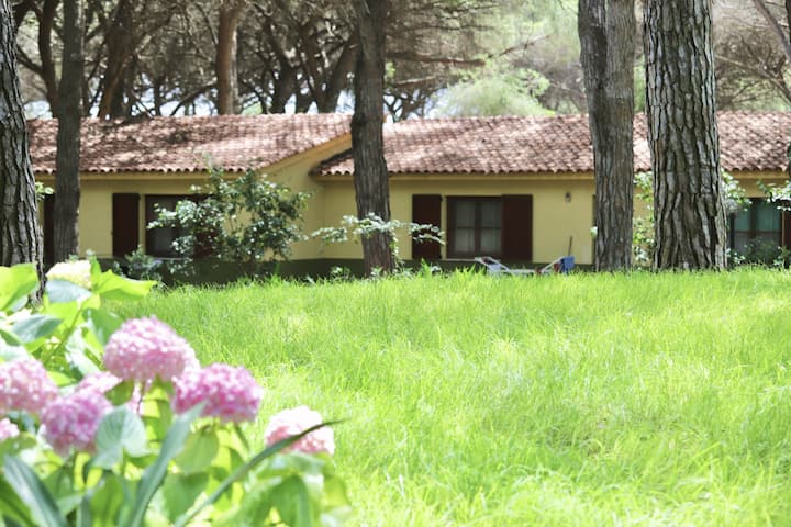 Alabirdi Bilocale 4 Letti - Oristano