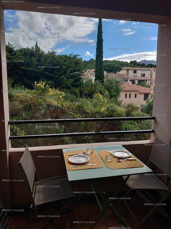 4pa32 Appartement Dans Résidence Avec Piscine Et P - Collioure