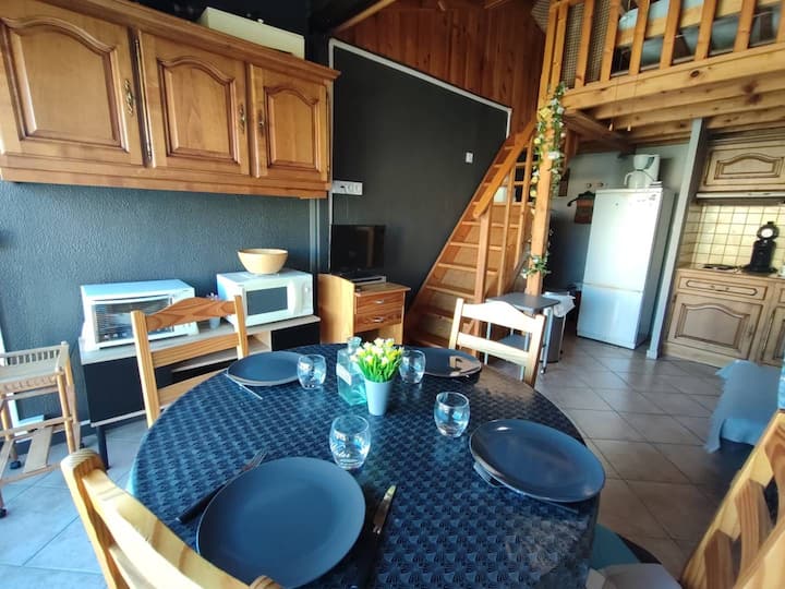 Appartement T2 Mezzanine éQuipé Pour 4 Pers 4lbm - Narbona