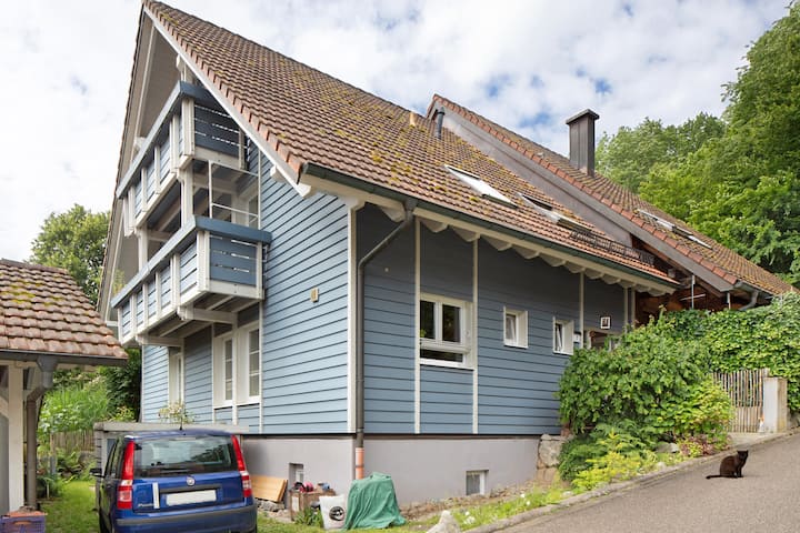 Ferienwohnung Zur Schauinslandbahn - Fribourg-en-Brisgau