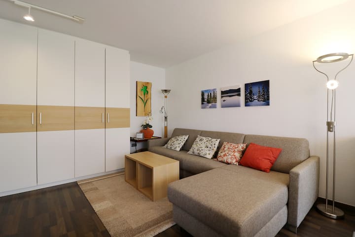 Ferienwohnung "Domicil Schluchsee" (250148) - Schluchsee