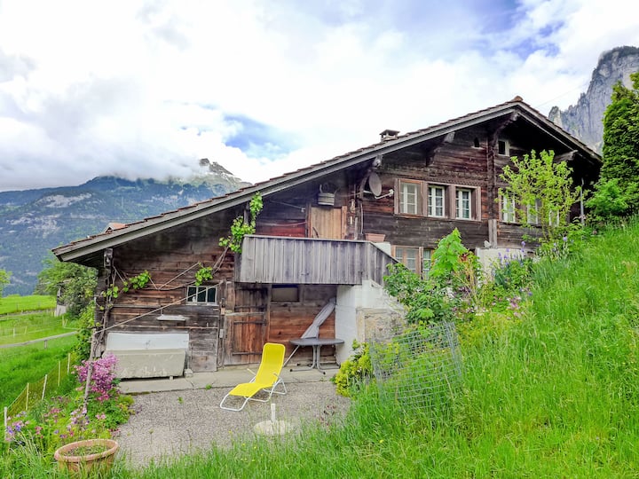 Chalet Heidi By Interhome - Meiringen