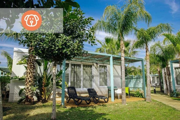Camping 4 éToiles - Piscine - Efcadc - Miami Platja