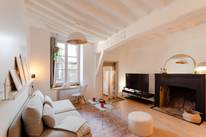 Appartement La Vie En Rose - Centre Historique - Rennes