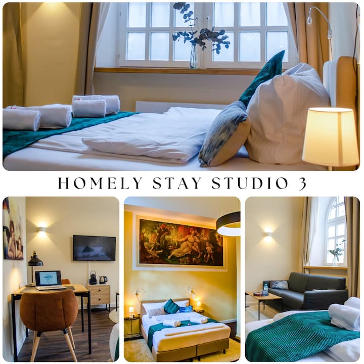 Homely Stay Studio3 - With Historical Mural - Munich