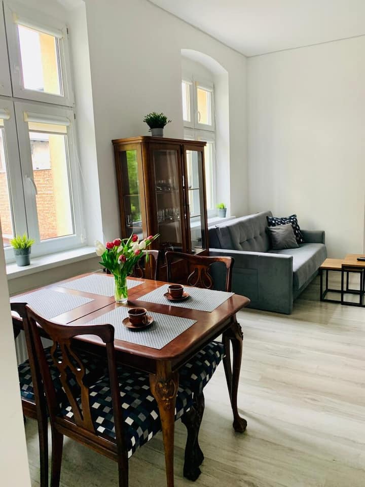Apartament Fraszka U Kochanowskiego - Torun