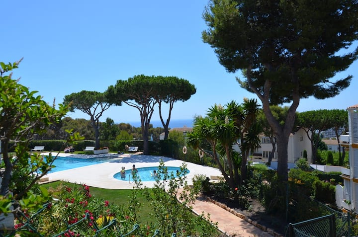 Petunies - Sant Feliu de Guíxols