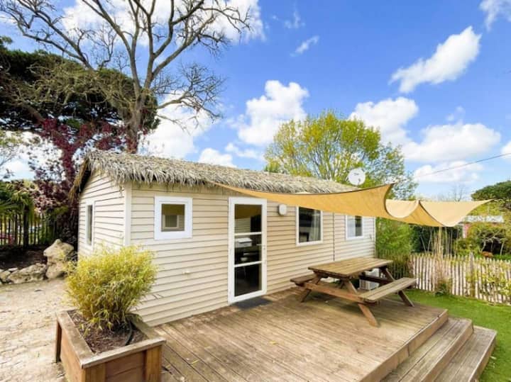 Cottage Lodge 3 Pièces 4 Personnes Climatisé + T - Sanguinet