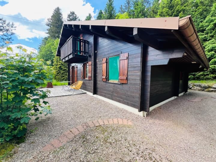 Chalet Cosy à L'abri Des Regards - Gérardmer