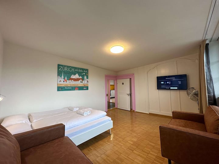 Zh Brecht 3 - Limmatquai Hitrental Apartment - Zürich