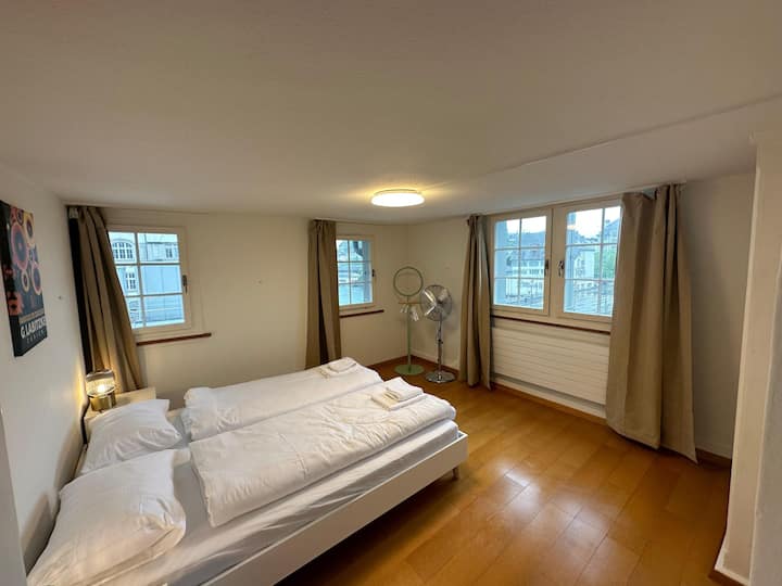 Zh Hesse 4 - Limmatquai Hitrental Apartment - Zurique
