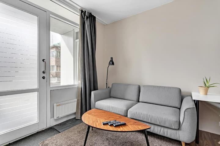 Reykjavik Downtown Chic Studio - Reykjavik
