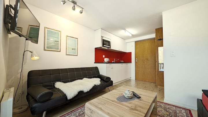 Studio Bettmerhorn - Imhof Alpine Apartments - Bettmeralp