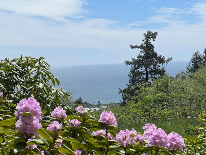 Beautiful Ocean Sunsets At Harbor Hills Heights - Brookings, OR