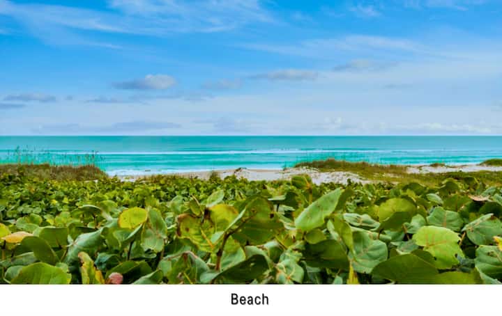 Stunning Beachfront Home With Breathtaking Views - Melbourne Beach, FL