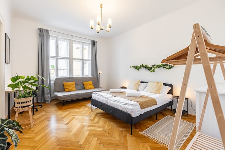 Historic Charm Apartment In Bratislava - Bratislava