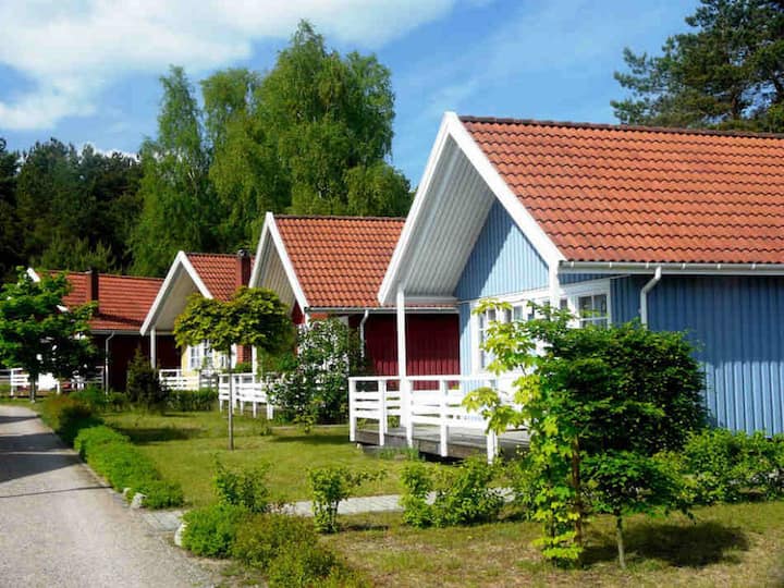 Moorfrosch (264643) - Neustrelitz