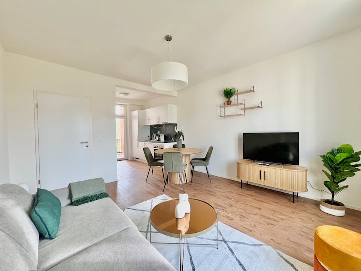 Luxurious Renovated Apartment In Basel - Basel