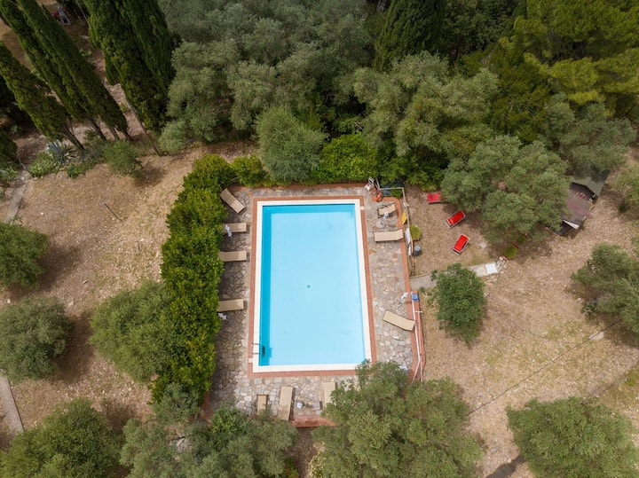 Villa I Tigli - Pansy - Suvereto
