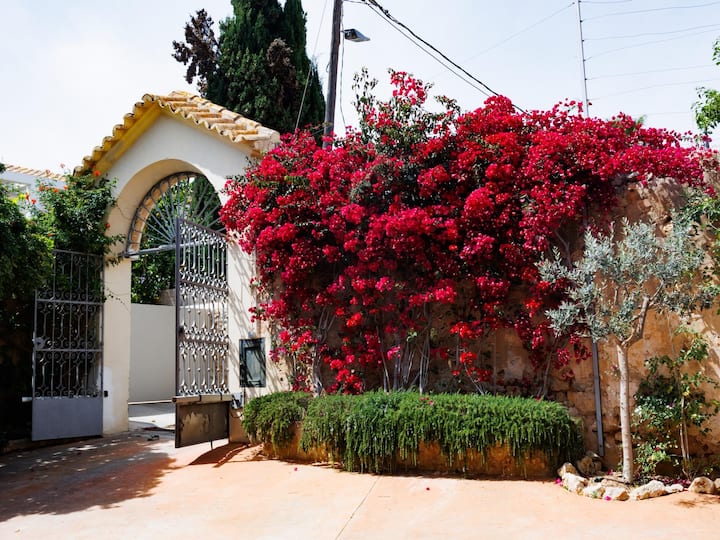 Villa Genova Can Gamundi 6 - Palma