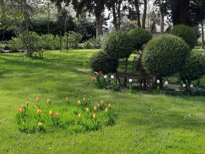 Maison Avec Piscine à Saint-martin-des-entrées - Bayeux