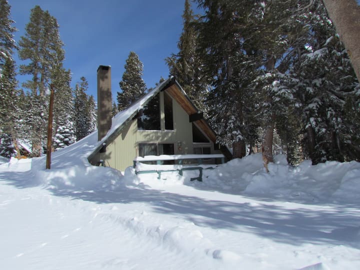 Chalet 15 - Mountain Trails Or Ski, Right Outside - June Lake, CA