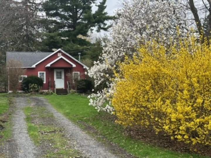 The Little Red House - Skaneateles, NY