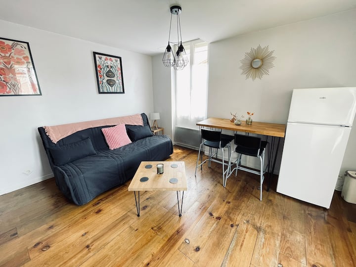 Duplex Au Cœur De Toulouse - Jardin Royal, Toulouse