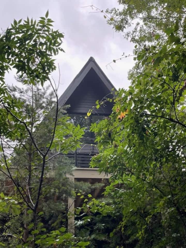 Modern A Frame In North Georgia Mountains - Dahlonega, GA