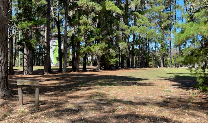 Mclaren Flat: Pine Flat Unpowered Camping - McLaren Vale