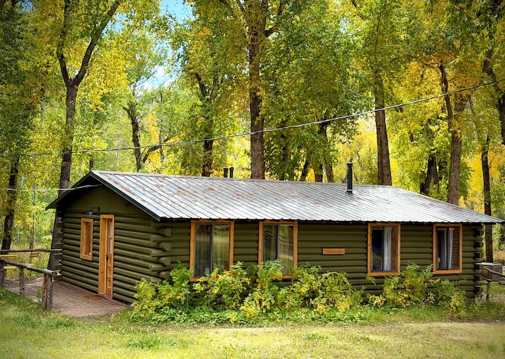 Tata River Cabin #3: Salida Cabin - Monarch, CO