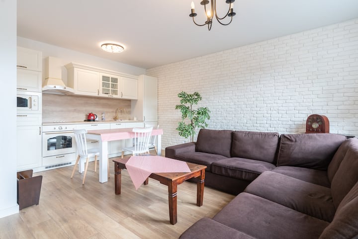 Retro Milenium Park Apartment - Katowice