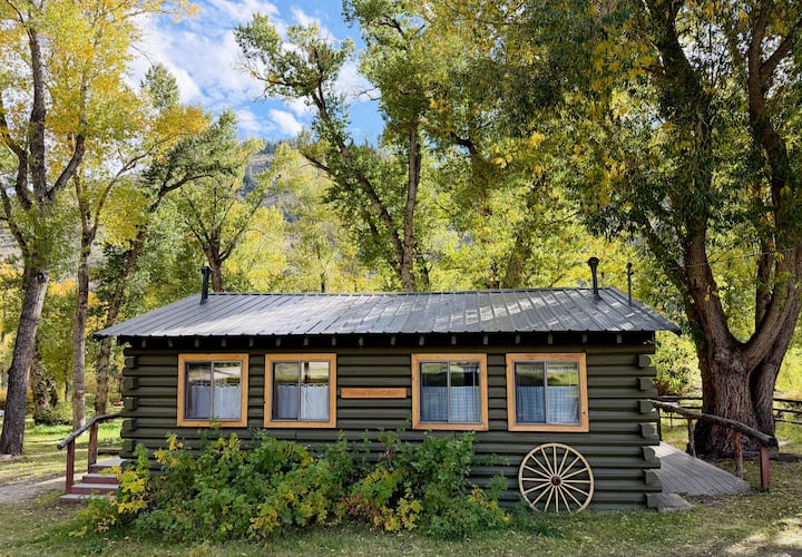 Tata River Cabin #5: Buena Vista Cabin - Monarch, CO