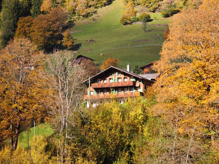 Chalet Auf Dem Vogelstein By Interhome - Grindelwald