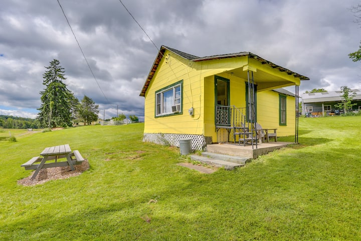 Historic Honesdale Cabin On Farm & Animal Rescue! - Lake Wallenpaupack, PA