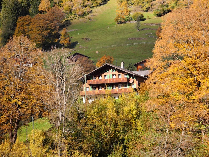 Chalet Auf Dem Vogelstein By Interhome - Grindelwald