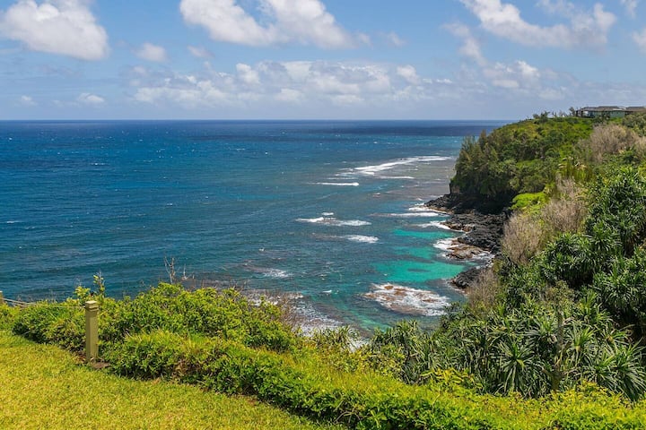 Whitewater Anini Reef Ocean Views W/ Full Aircon - Princeville