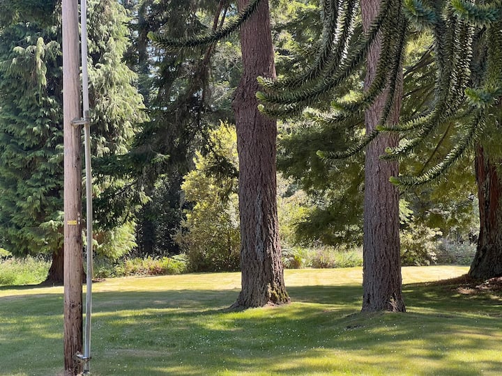 Peace & Quiet At The Dodge House - Brookings, OR