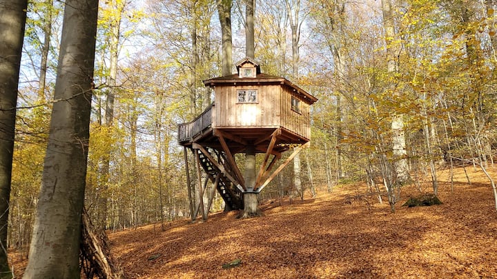 Germany Treehouse Vacation Rentals | Airbnb