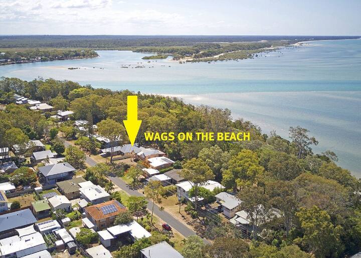 Wags On The Beach - Toogoom