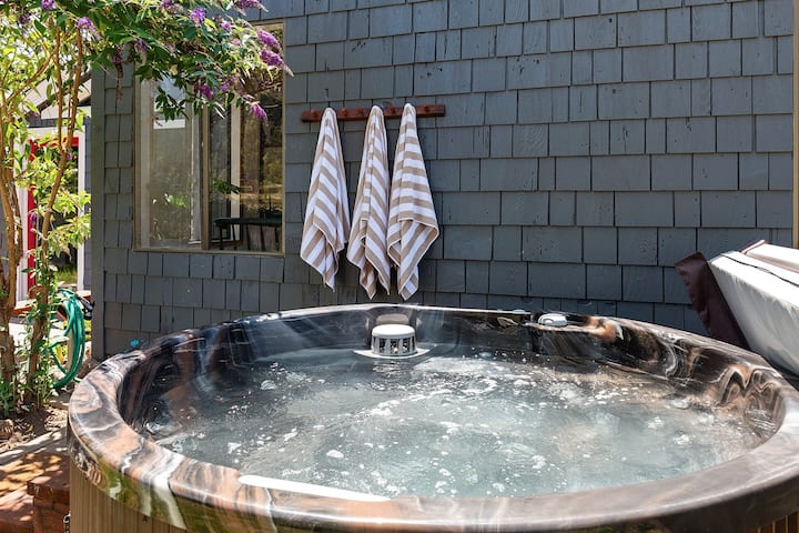 Ojo House ~ Midcentury Modern, Pet Friendly, Hot - Wrights Beach, CA