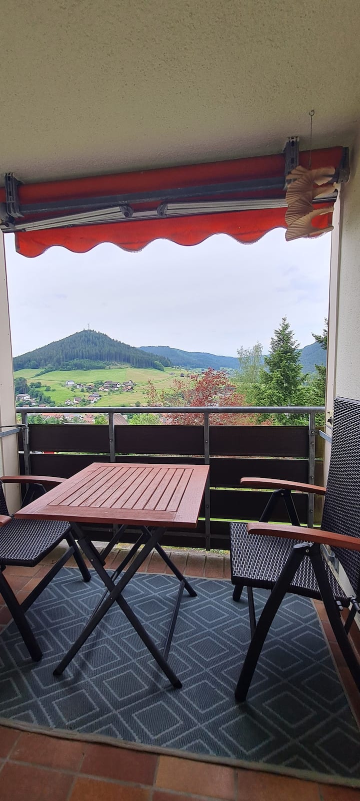 Ferienappartement In Black Forest - Freudenstadt