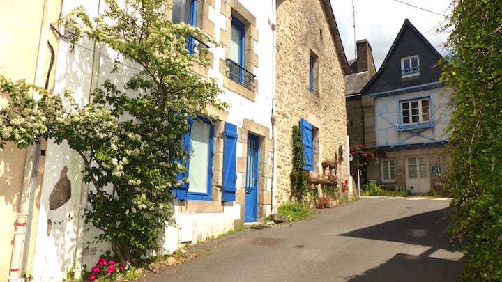 Ravissante Maison Sur Les Quais De St Goustan - Auray